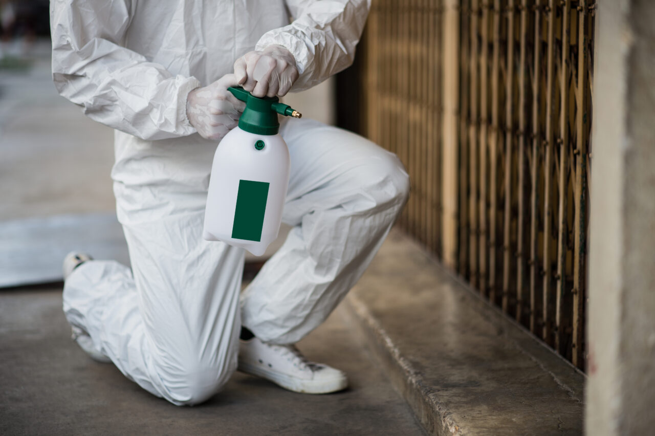 Effective Pest Control Solutions | Pest Frog