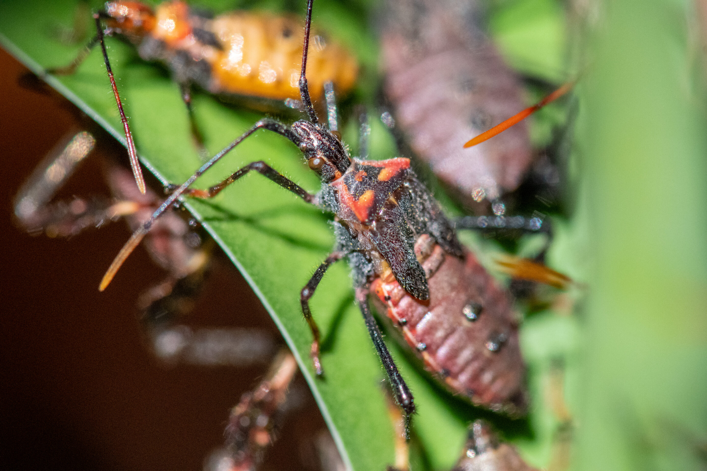 The Top 10 Pest Control Mistakes Homeowners Make (And How to Avoid Them ...
